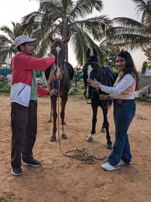 Bangalore: Horse Riding Safari Tour - An Honest Look at the Bangalore Horse Riding Safari