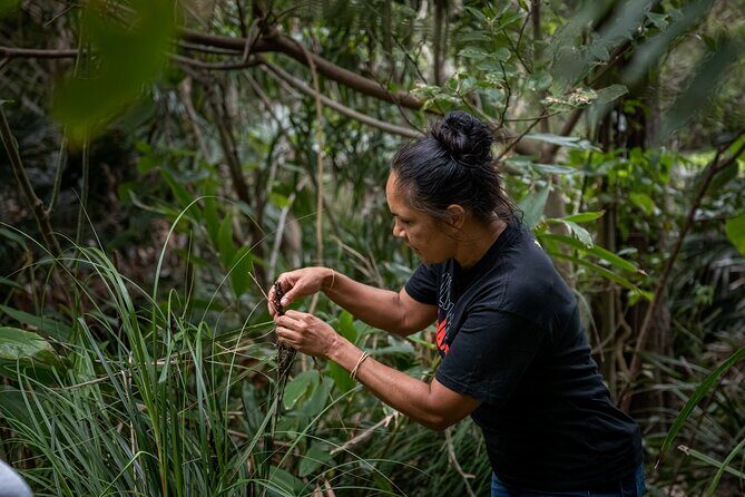 Bangalow Native Bush Food Tour - FAQ