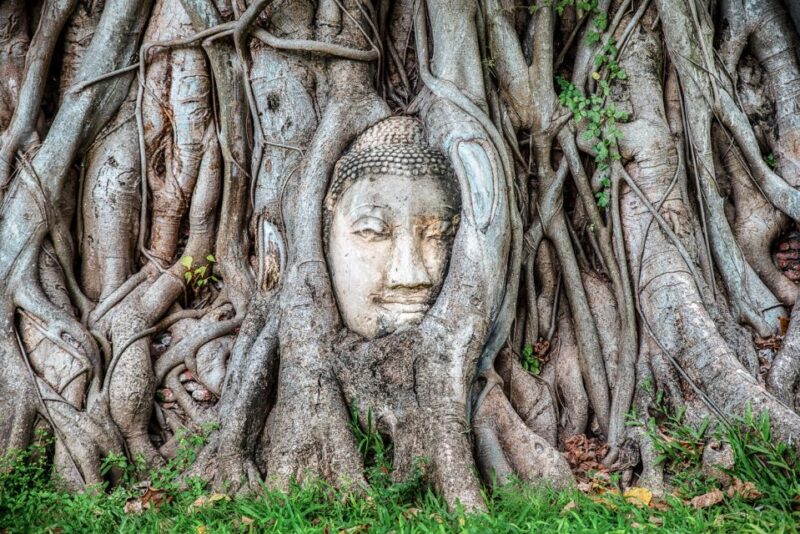 Bangkok: Ayutthaya & Lopburi Monkey Temple Private Day Trip - What’s Not Included