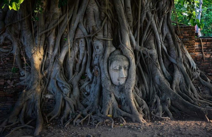 Bangkok: Ayutthaya Private Guided Tour with Hotel Transfer - Authentic Insights from Reviewers