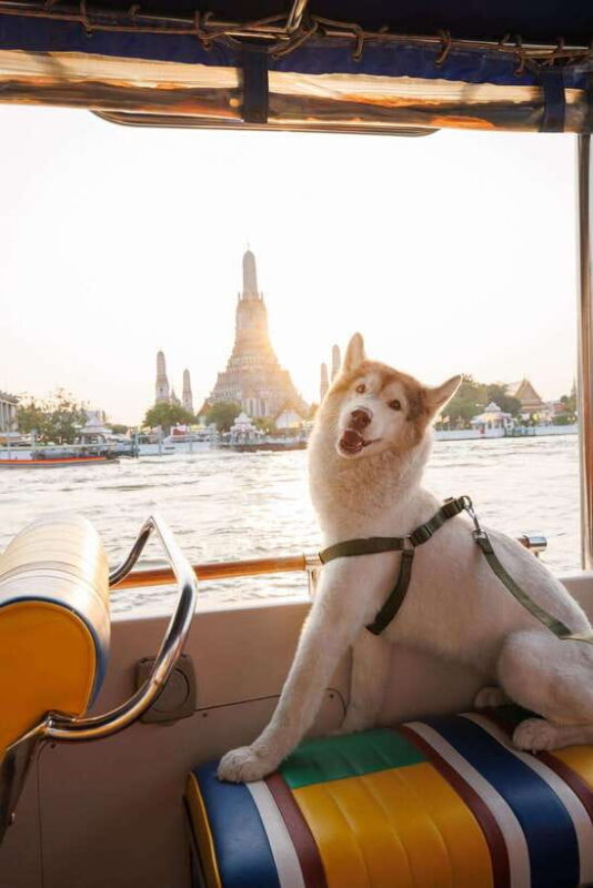Bangkok: Boat Chao Phraya River Tuk-Tuk Boat Tour - Why This Tour Might Be Perfect for You