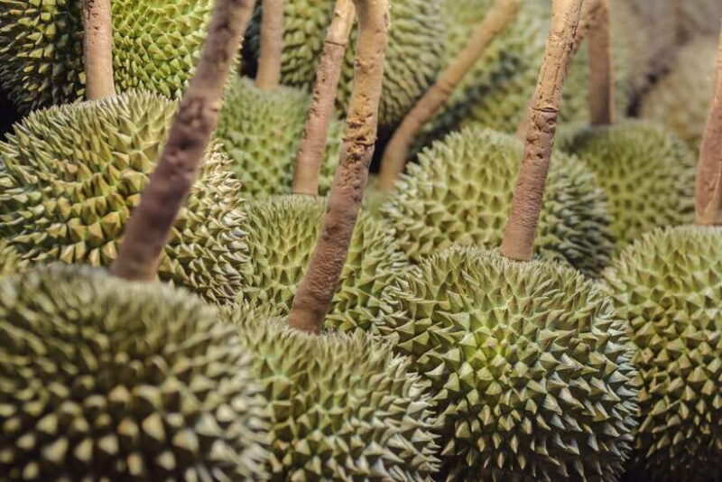 Bangkok Chinatown Night Food Tour - What to Expect: A Step-by-Step Breakdown