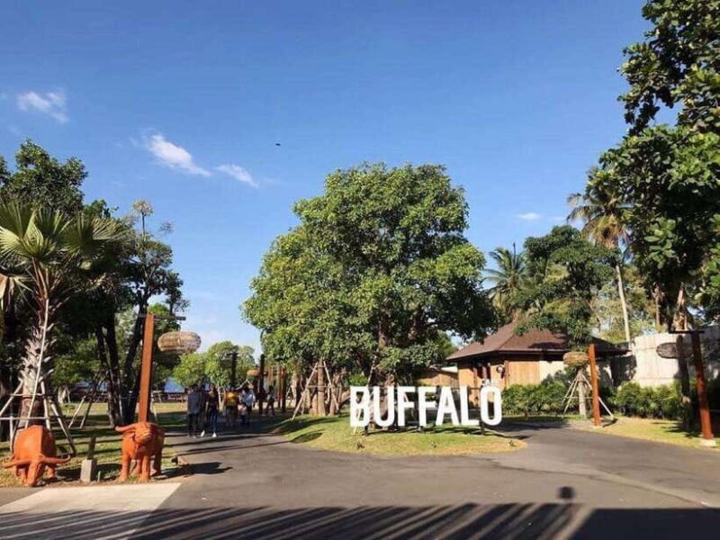 Bangkok: Damnoen Saduak and Train Market with Boat Ride - Practical Details & Tips