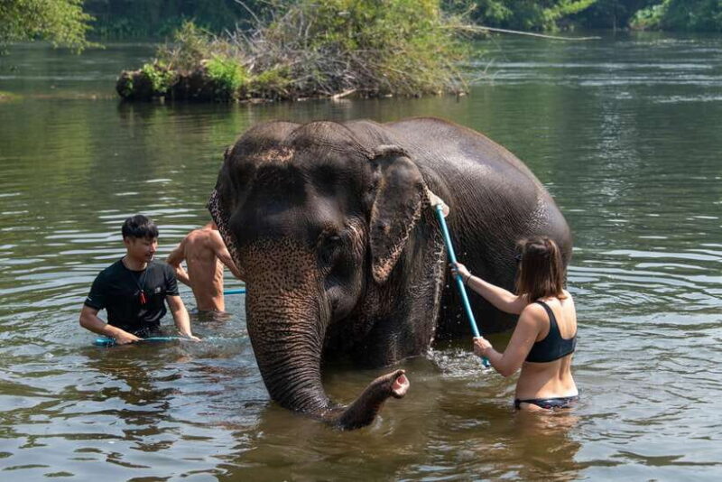 Bangkok: Elephant Sanctuary & Erawan Waterfall Tour - An Honest Look at the Experience