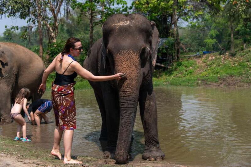 Bangkok: Elephant Sanctuary & Erawan Waterfall Tour - Practical Tips & Considerations