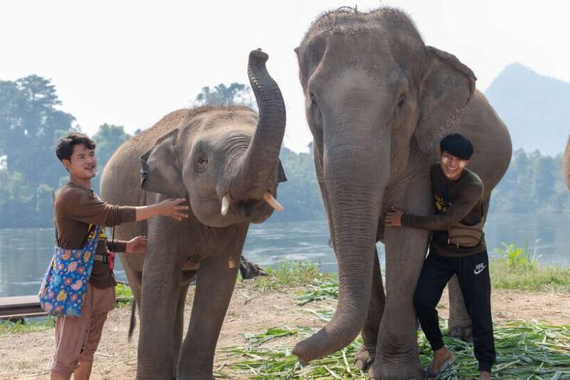 Bangkok: Elephant Sanctuary & Erawan Waterfall Tour - Frequently Asked Questions