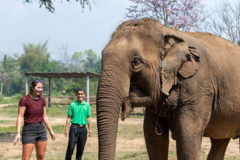 Bangkok: Elephant Sanctuary & Erawan Waterfall Tour - Final Thoughts