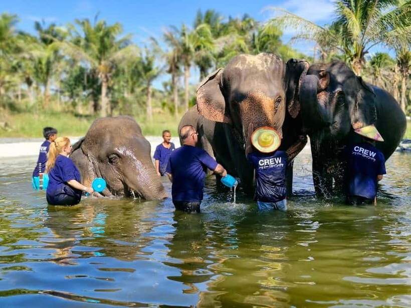 Bangkok: Elephant Sanctuary &Khao Kheow Open Zoo (Moodeng) - Key Points