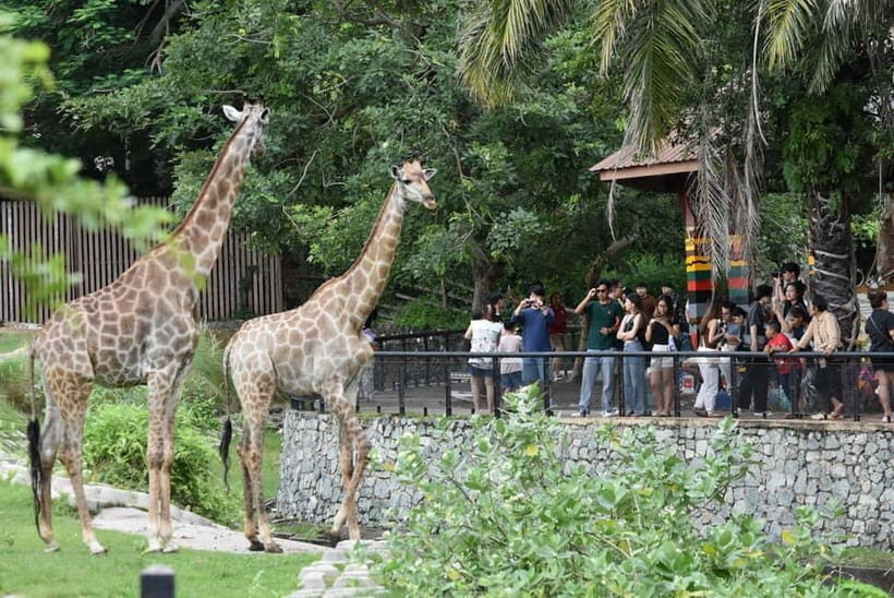 Bangkok: Elephant Sanctuary &Khao Kheow Open Zoo (Moodeng) - Final Thoughts: Who Will Love This Tour?