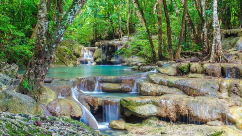 Bangkok: Elephants World & Erawan Waterfall in Kanchanaburi - What’s Included and What’s Not