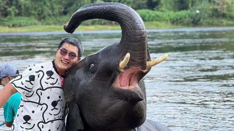 Bangkok: Elephants World & Erawan Waterfall in Kanchanaburi - Who This Tour Is Best For