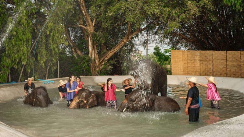 Bangkok: Ethical Elephant Care Half-Day with Transfers - FAQ
