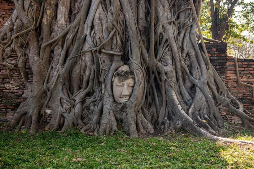 Bangkok: Explore Ancient Ayutthaya Historical Park Day Tour - What Makes This Tour Stand Out?