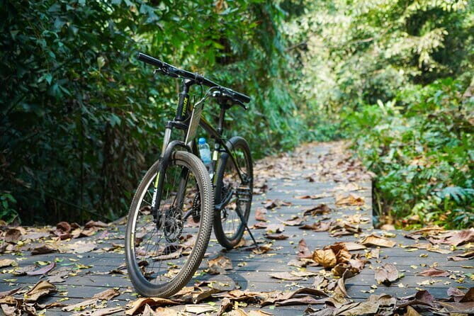 Bangkok Green Oasis Nature Bike Tour - Café Break: Refresh and Recharge