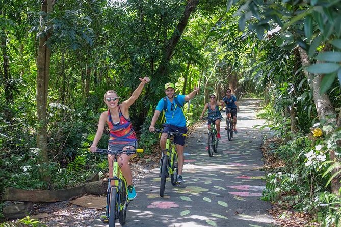 Bangkok Jungle Bike Tour Including Lunch - Lunch: Authentic Thai Flavors in a Beautiful Setting