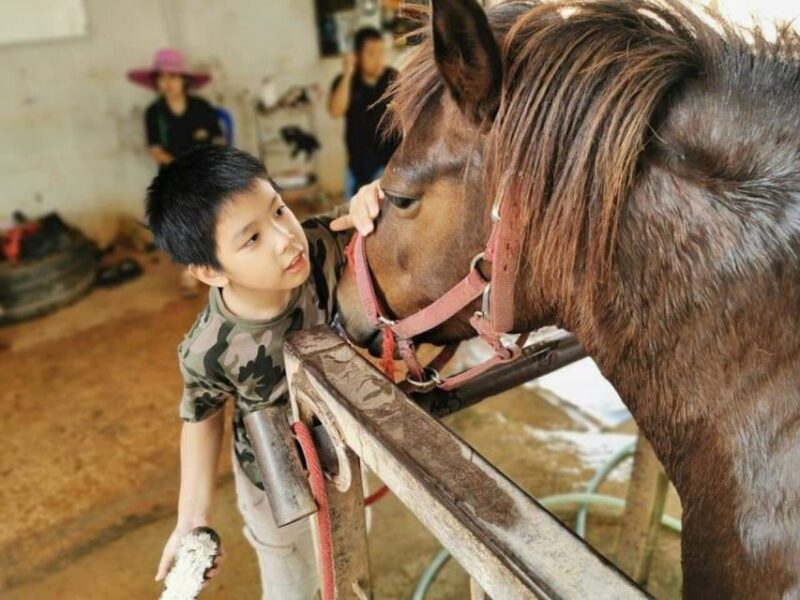 Bangkok: Khao Yai National Park with Horseback Ride Day Trip - Who It’s Best For