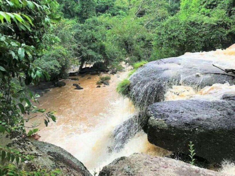 Bangkok: Khao Yai Nature Trails & Heaw Suwat Waterfall - First Stop: KM 30 Viewpoint