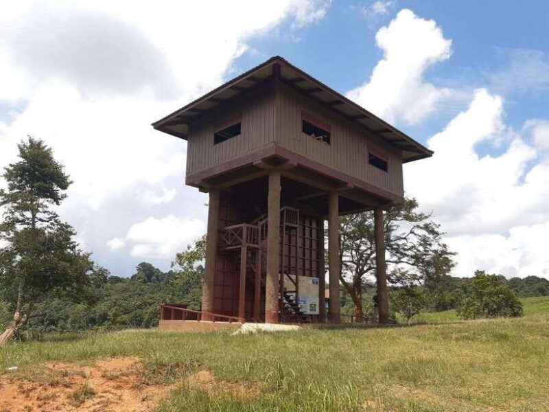 Bangkok: Khao Yai Nature Trails & Heaw Suwat Waterfall - Transportation, Timing, and Group Size