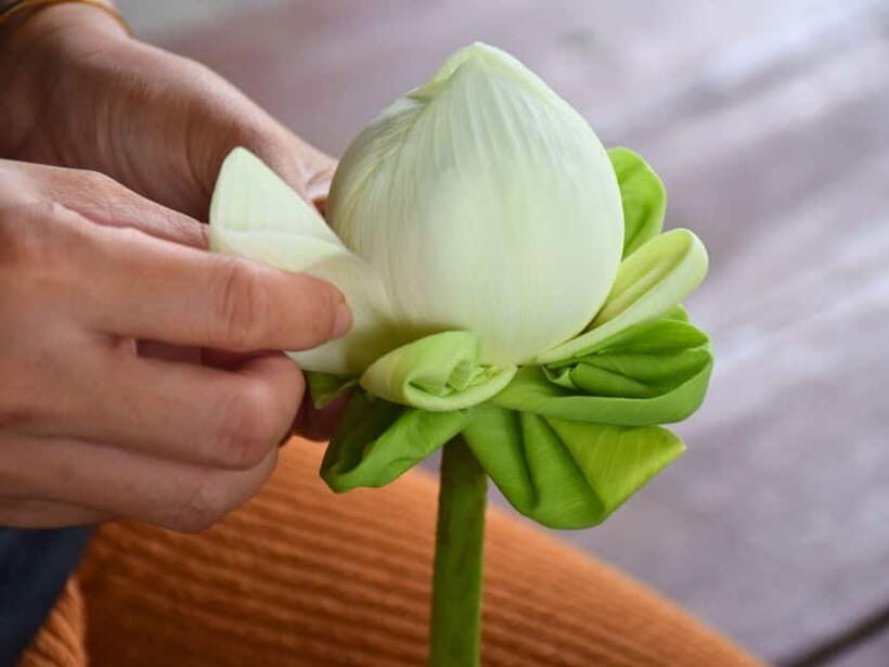 Bangkok: Lotus Fields, Orchid Farm, and Flower Market Tour - Exploring the Day in Detail