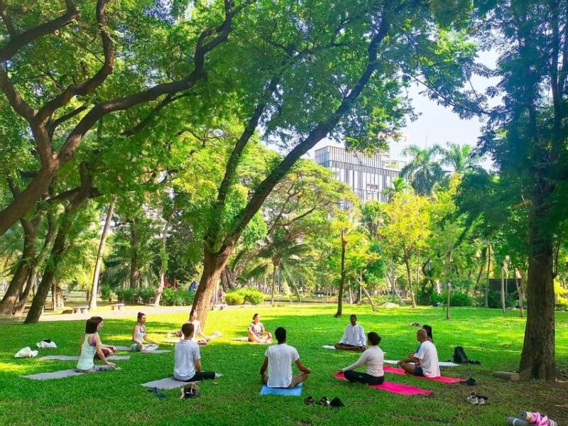 Bangkok: Lumpini Park Yoga Experience - Introducing the Experience