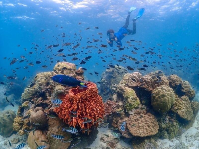 Bangkok: Nemo Island Day Trip with Drone Photos and Lunch - Introduction