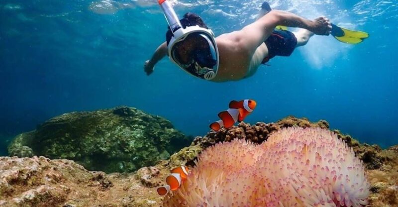 Bangkok: Nemo Island Day Trip with Drone Photos and Lunch - What Makes This Tour Stand Out?