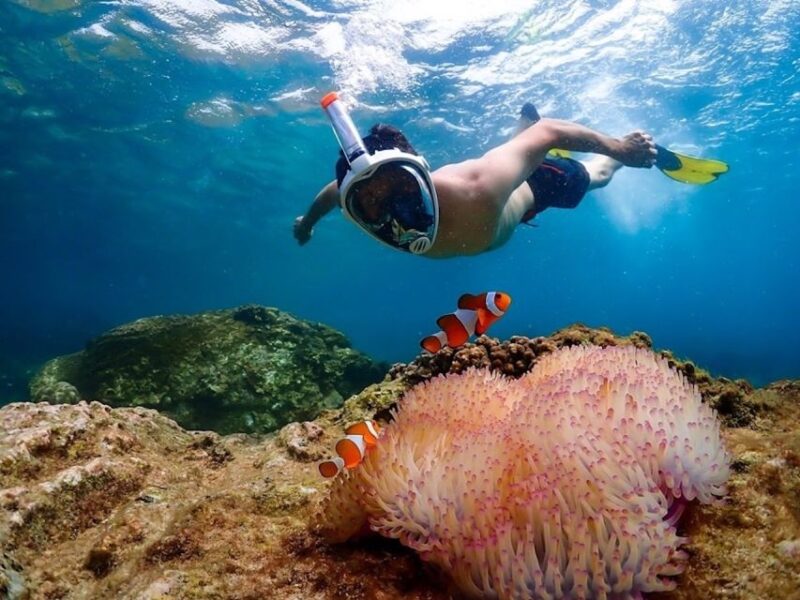 Bangkok: Nemo Island Day Trip with Drone Photos and Lunch - Considerations Before Booking