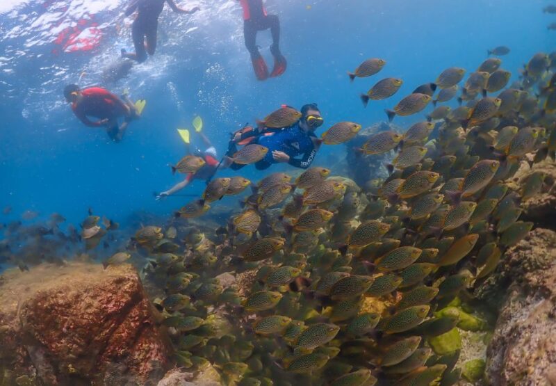 Bangkok: Nemo Island Day Trip with Drone Photos and Lunch - The Sum Up