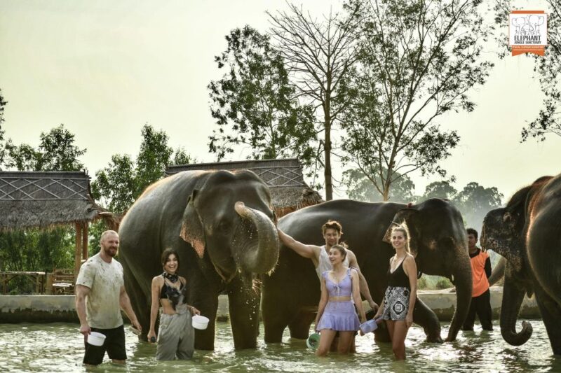 Bangkok: Pattaya Elephant Jungle Sanctuary Half-Day Tour - What Makes This Tour Stand Out?