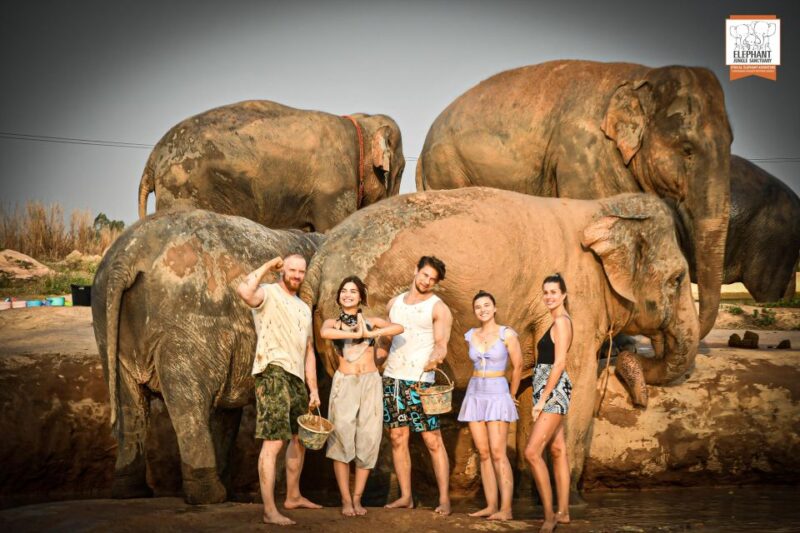 Bangkok: Pattaya Elephant Jungle Sanctuary Half-Day Tour - The Sum Up: Who Should Consider This Tour?