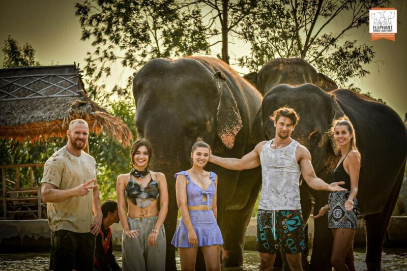 Bangkok: Pattaya Elephant Jungle Sanctuary Half-Day Tour - FAQ