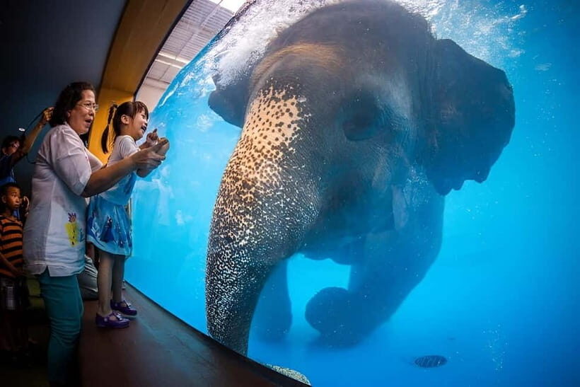 Bangkok/Pattaya: Khao Kheow Zoo Private Tour with Pickup - A Closer Look at the Tour