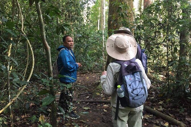 Bangkok plus Ayutthaya and Khao Yai (Private 4 days) - Why This Tour Is a Great Choice