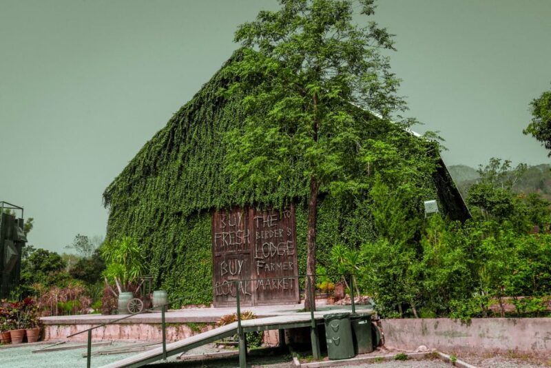 Bangkok: Private & Customizable Khao Yai National Park Tour - Authentic Experiences and Real Feedback