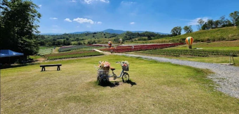 Bangkok: Private Khao Yai Day Tour - Who Should Consider This Tour