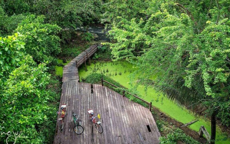 Bangkok: Private Tour Bang Kachao and Bang Nam Phueng - Key Points