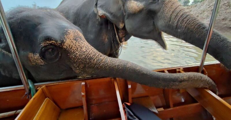 Bangkok: Private Trip to Ayutthaya Temples & Night Market - Key Points