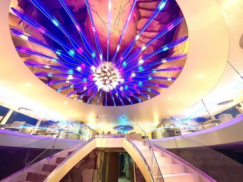 Bangkok: Royal Princess Cruise with Optional Hotel Transfer - The Pros and Cons