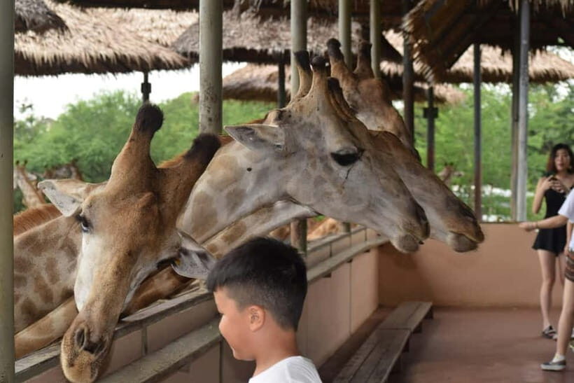 Bangkok Safari & Marine Park - What to Expect at Bangkok Safari & Marine Park