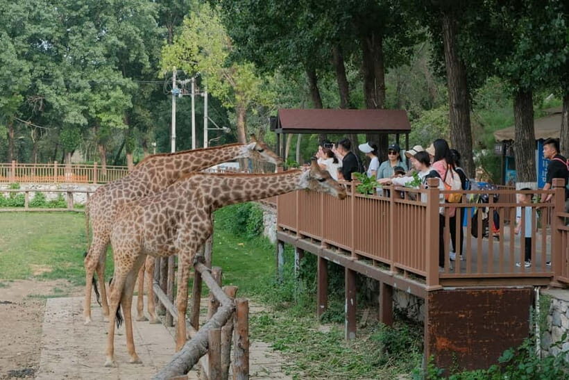 Bangkok Safari & Marine Park - Final Word