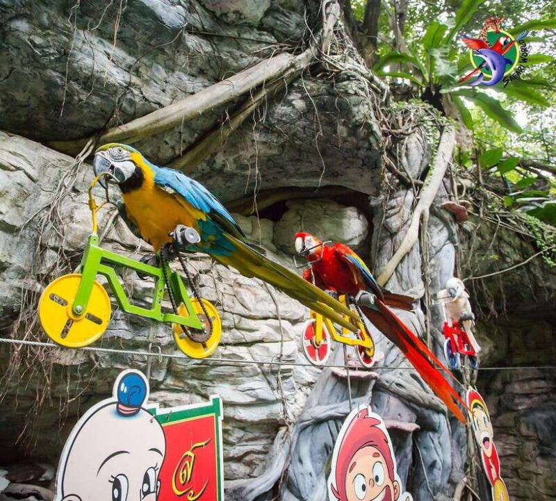 Bangkok & Safari World, Hotel and Private Transfer - The Value of This Tour