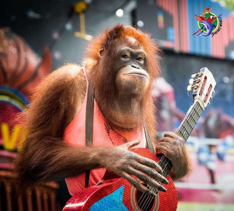 Bangkok & Safari World, Hotel and Private Transfer - Final Thoughts: Who Is This Tour Best For?