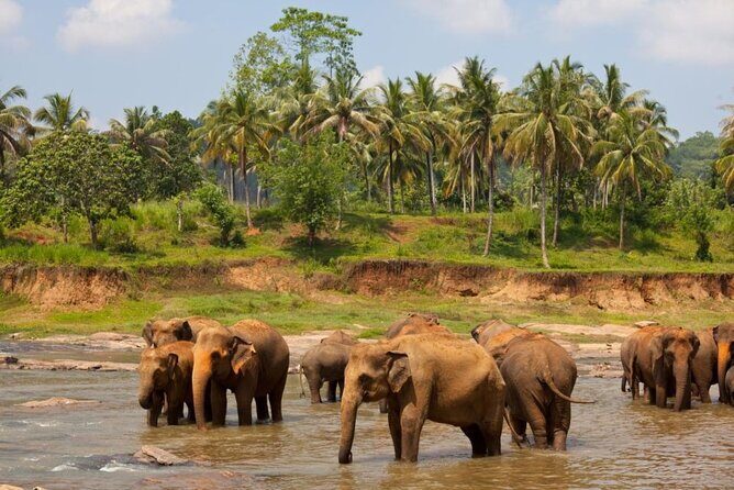 Bangkok: Safari world & Marine park - Introduction
