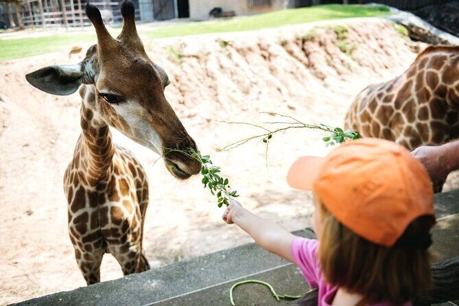 Bangkok: Safari world & Marine park - Key Points