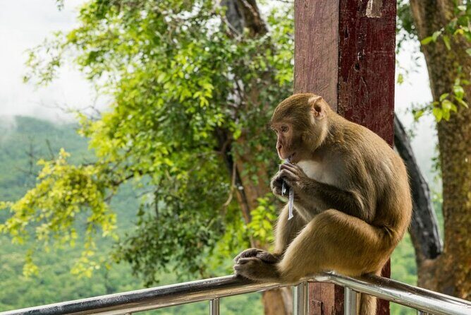Bangkok: Safari world & Marine park - Who Will Love This Tour?