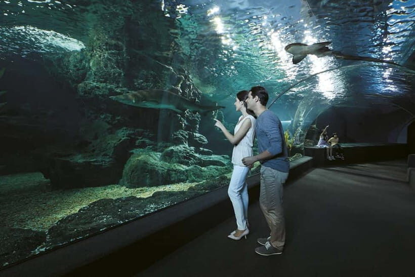 Bangkok: SEA LIFE Bangkok & Madame Tussauds Entry Ticket - The Sum Up