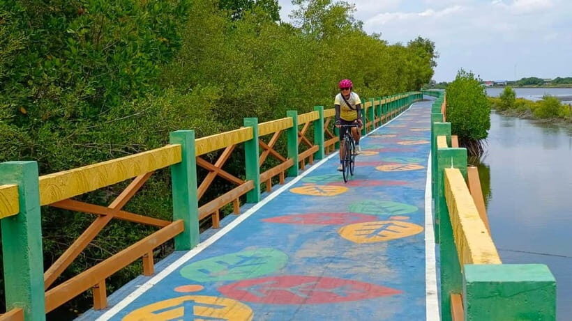Bangkok: Seaside Views Cycling Tour via Mangrove Tunnel - An Authentic Day Out in Bangkok’s Coastal Corners