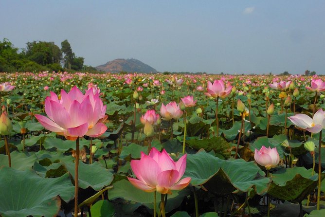 Bangkok to Angkor Wat 2 Days 1 Night tour go by Flight and Take car back - The Value of Everything Included