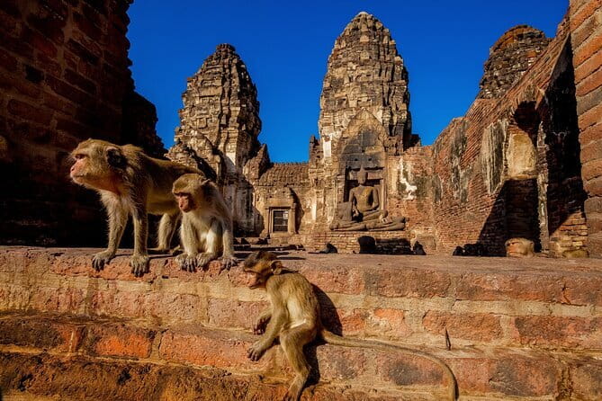 Bangkok to Ayutthaya Lopburi Monkey Temple, Largest Buddha Tour - Key Points