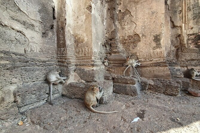 Bangkok to Ayutthaya Lopburi Monkey Temple, Largest Buddha Tour - Who Will Love This Tour?